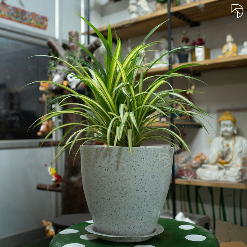 Indoor Unbreakable Pot & Planter, Luxury look, Roto Fiber Moulded pot ...